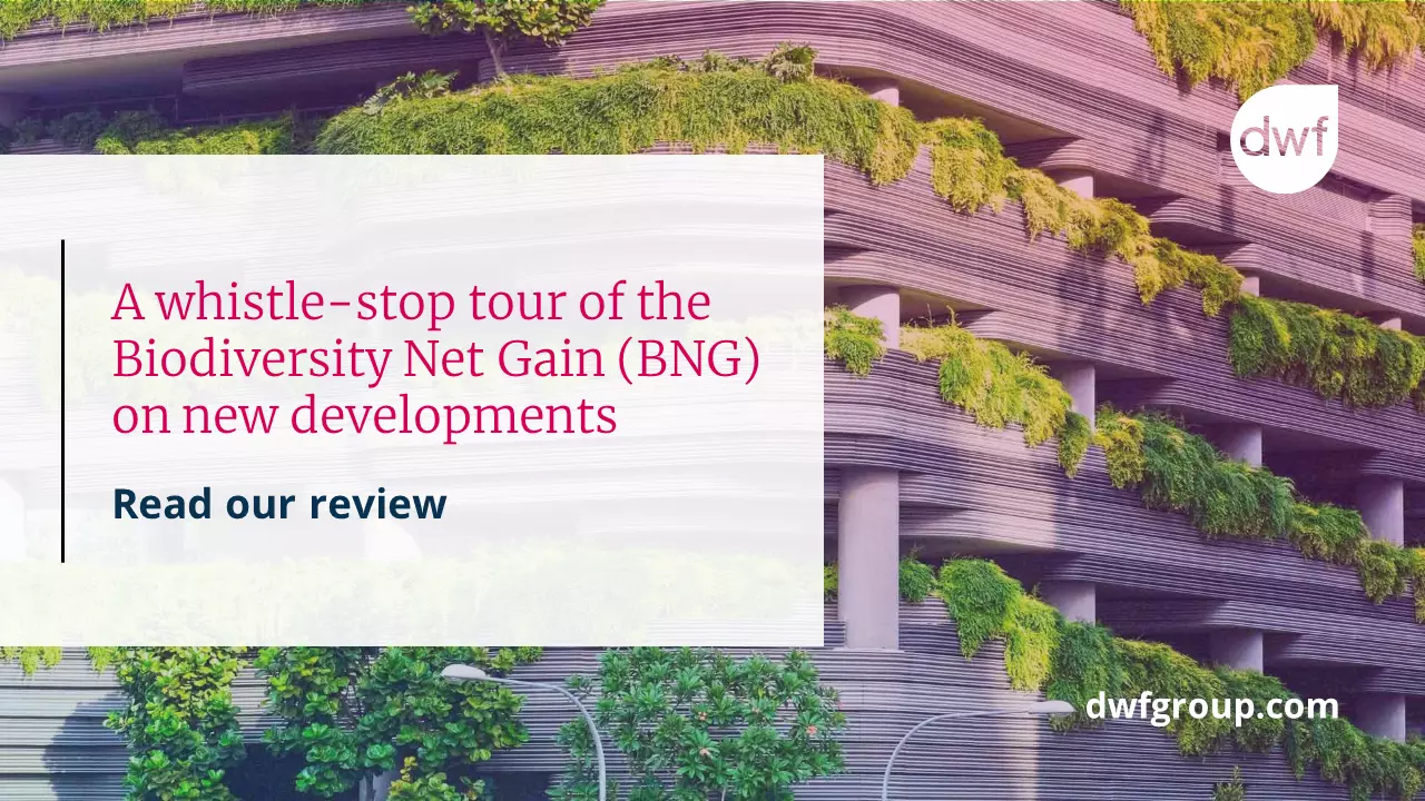 Biodiversity Net Gain on new developments | DWF